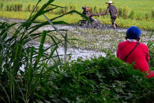 Photojournalism in Philippines and its perils