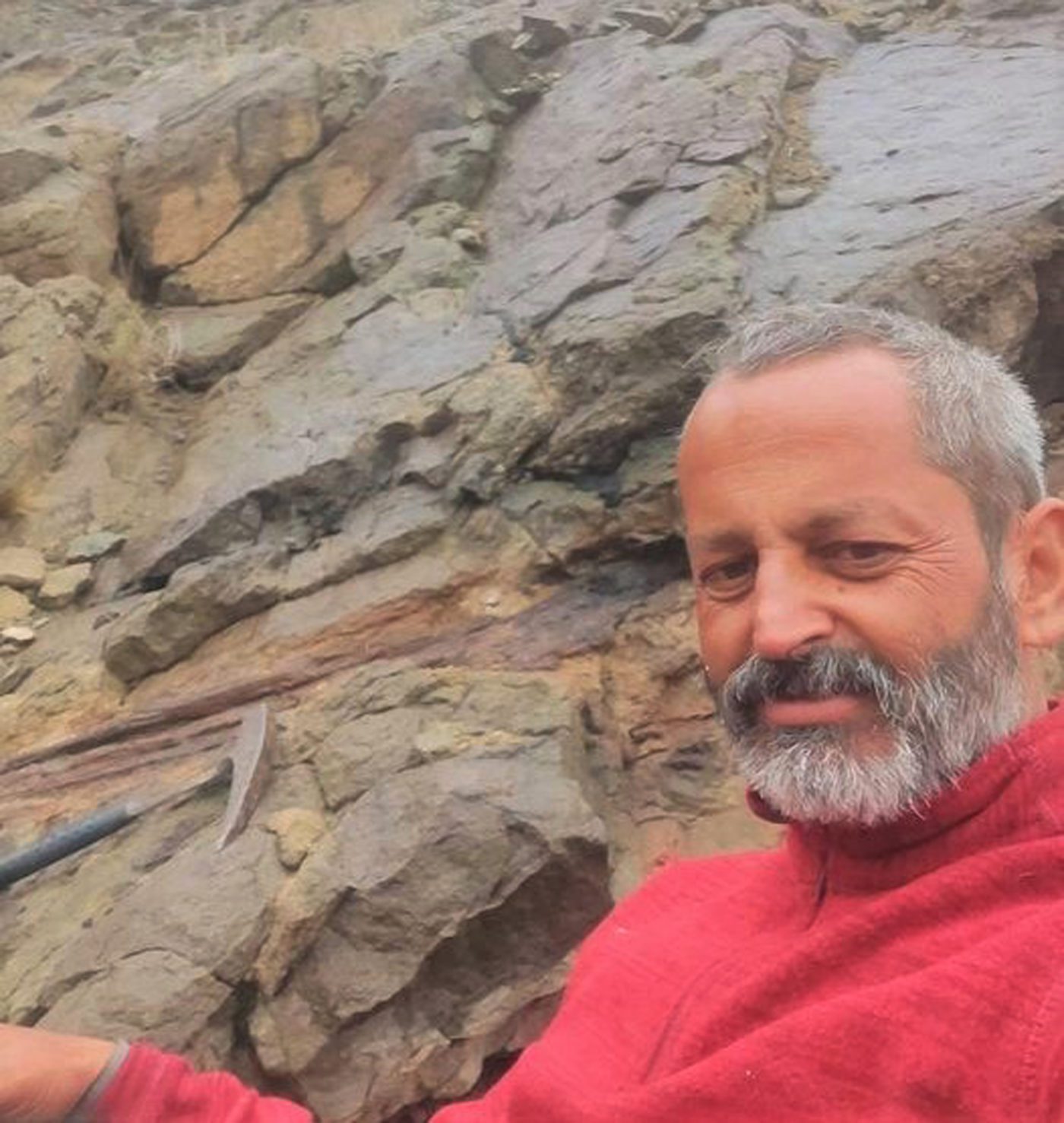Fossils in India give insight into formation of Himalayan Mountains
