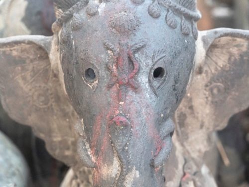 Elephants raid villages in West Bengal